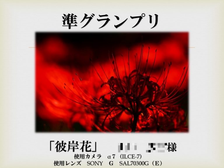 スライド5 - STACC MORIKAWA - 長野県塩尻市のソニーショップ