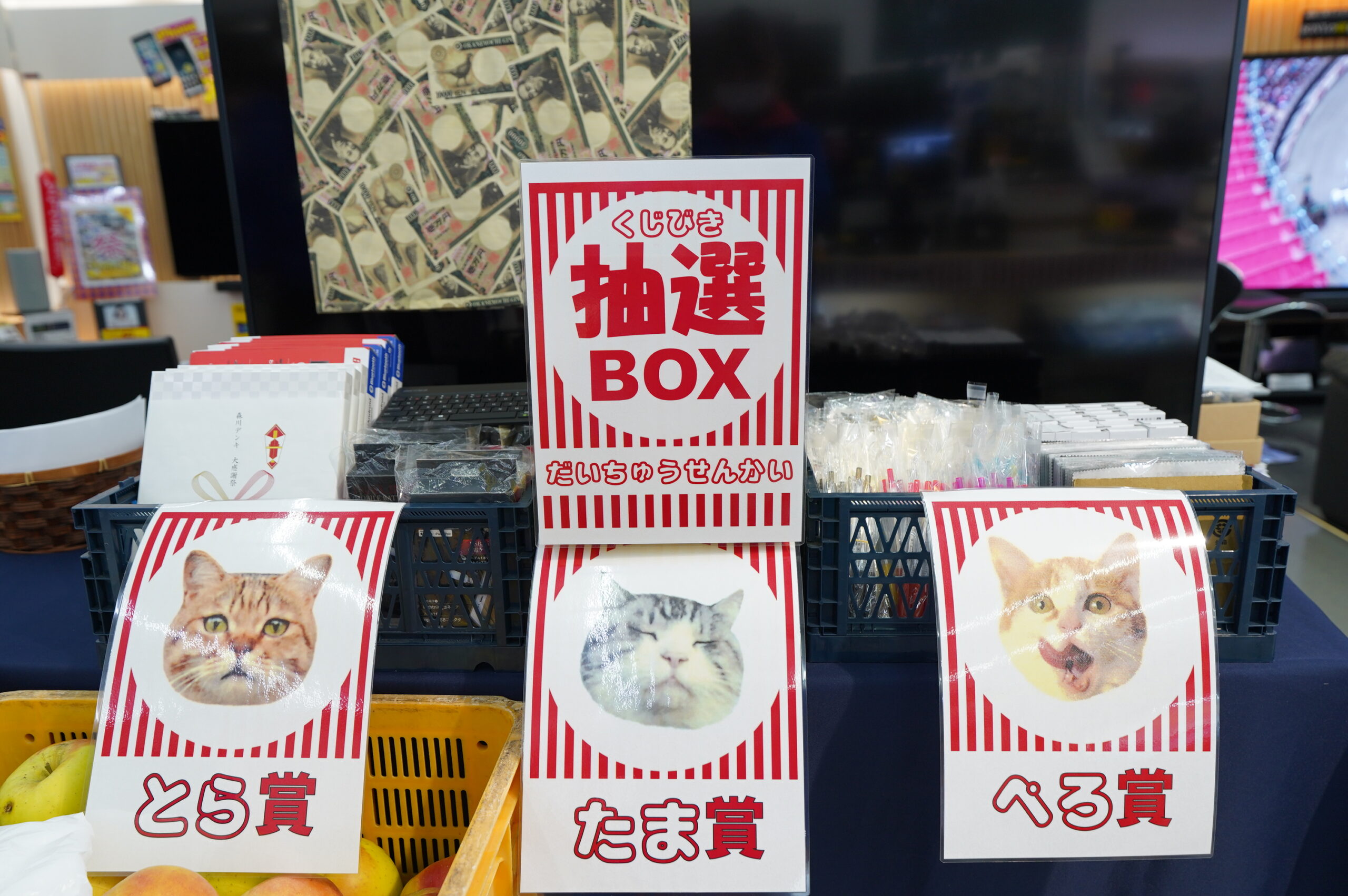 感謝祭一日目！