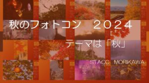 STACC MORIKAWA - 長野県塩尻市のソニーショップ